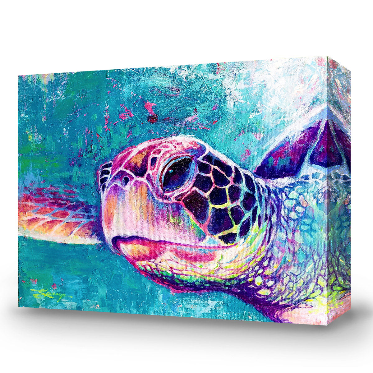 Honu'eu – Day Five Art Gallery